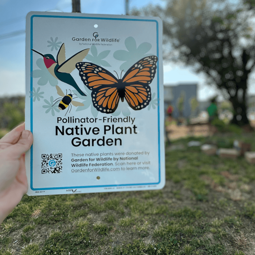 Broadway East Community Pollinator Garden in Baltimore, Maryland