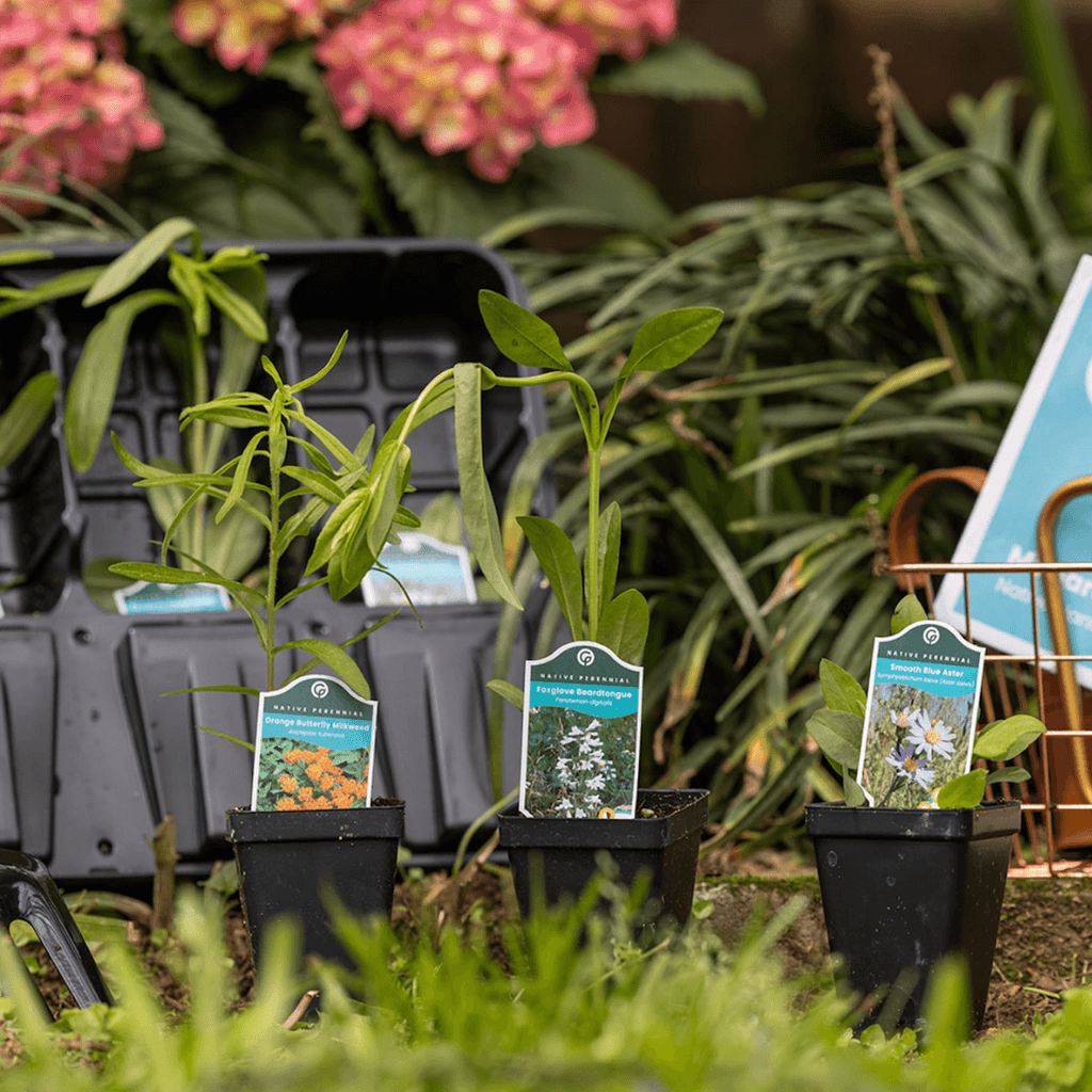 The Pennsylvania Gardening Guide | Garden For Wildlife